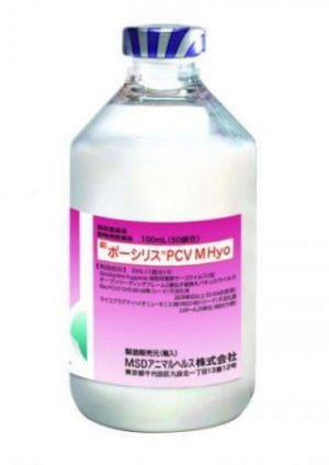 ポーシリス® PCV M Hyo - MSD Animal Health 日本